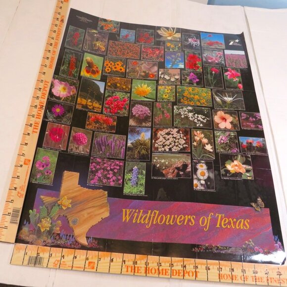 Texas Dept. of Trans. | Accents | Wildflowers Of Texas Laminated 26 X ...